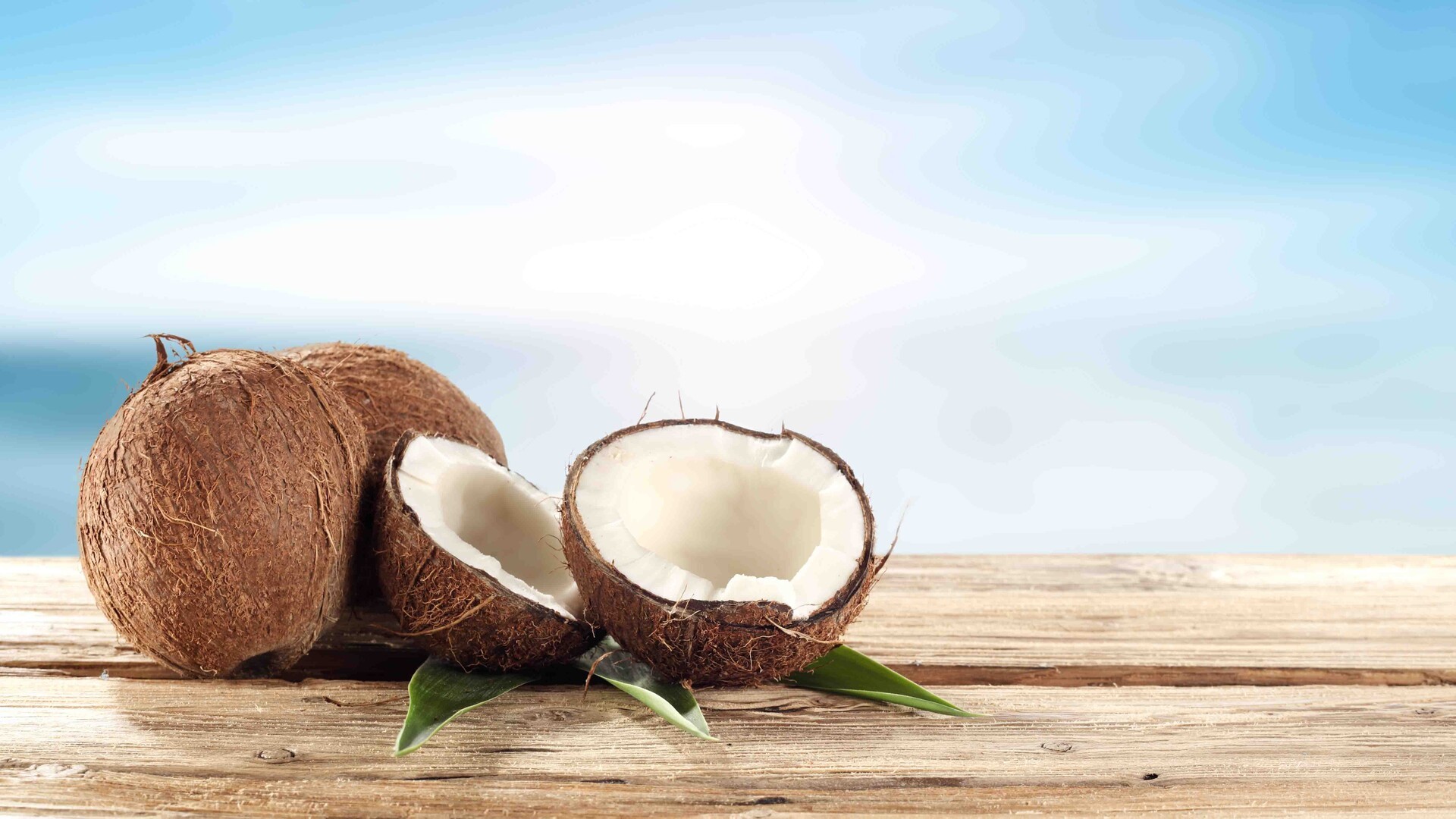 Blog | Amazing Oriental