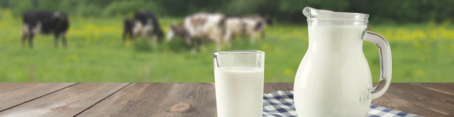 Melkproducten - Instant Drinks - Dranken | Amazing Oriental