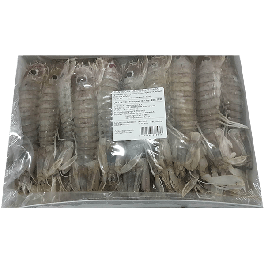 Oriental Mantis Garnalen 1kg | Amazing Oriental