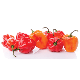 Dagverse Surinaamse Peper (Madame Jeannete) Geel 1kg | Amazing Oriental